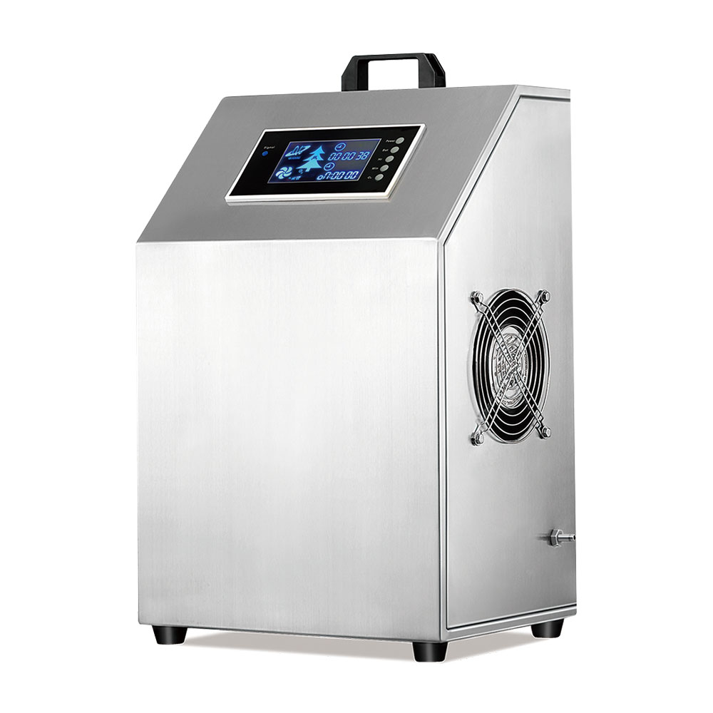 Laswim QLA-D Pool Ozone Generator Ozonator For Pool Swimming Pool Ozone ...