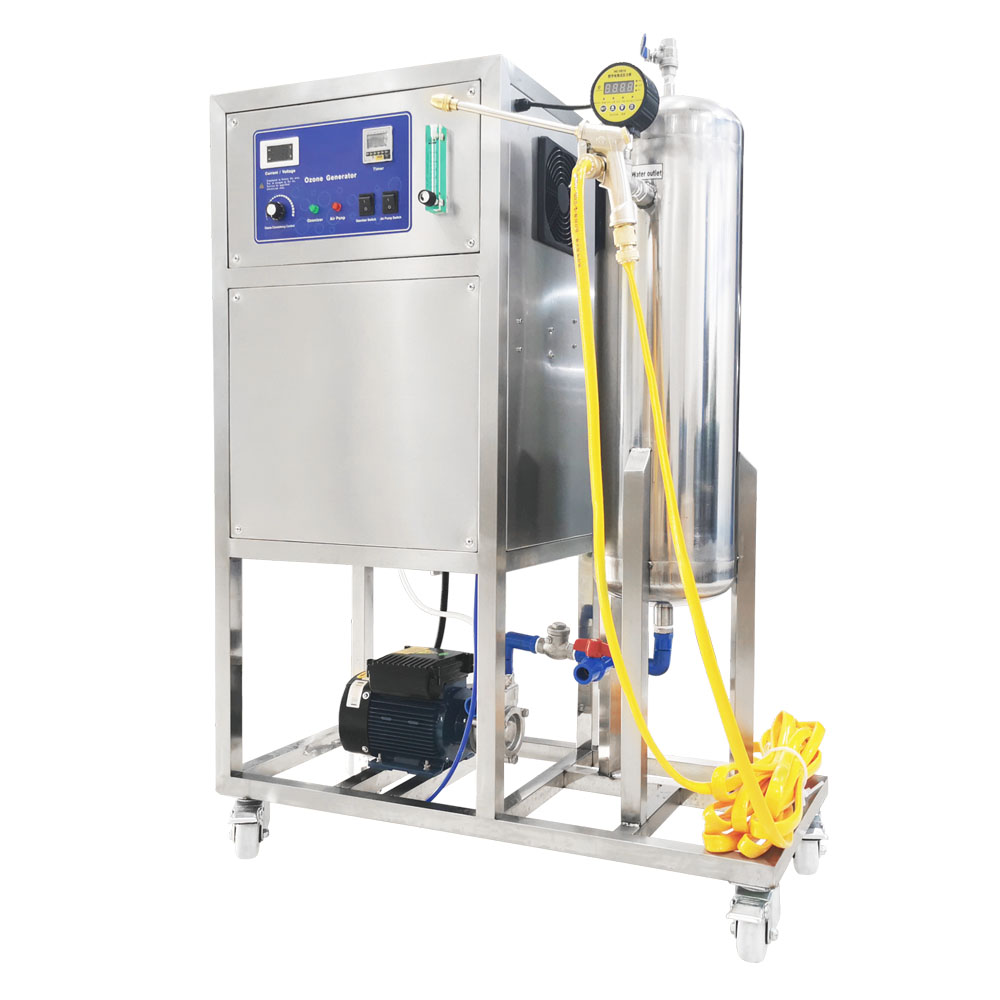 Laswim OWS Ozone Generator For Water Generator Ozone Water Commercial ...